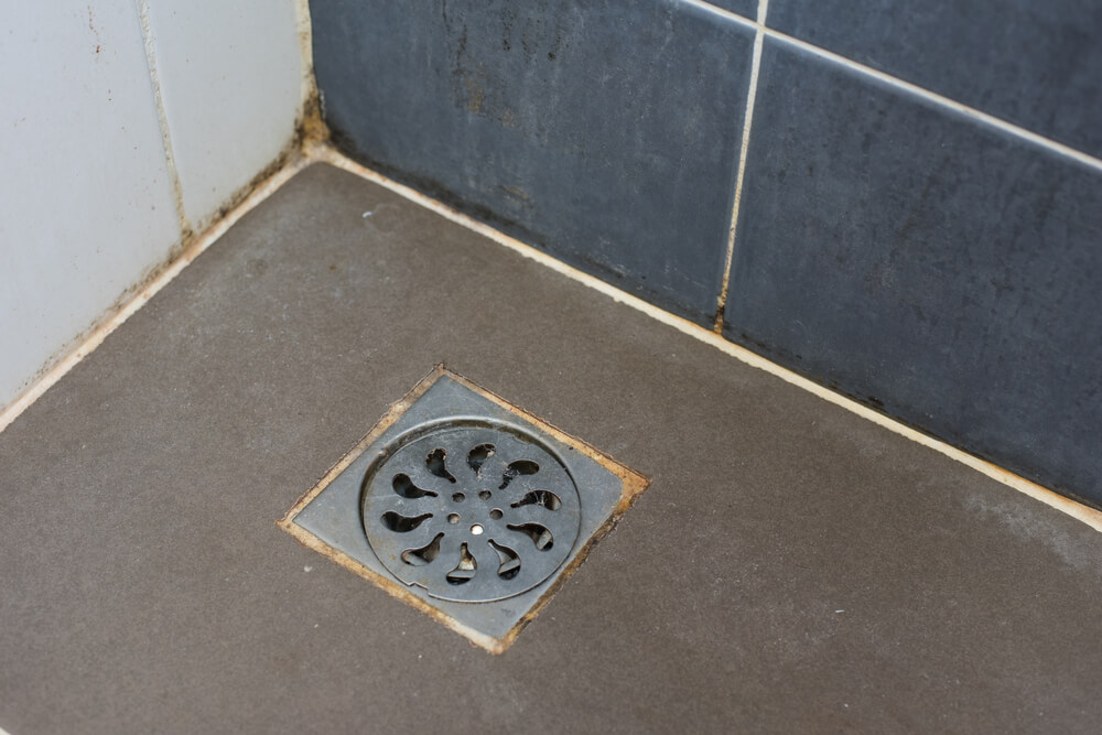 What You Need to Know About Your Sewer Drain System?